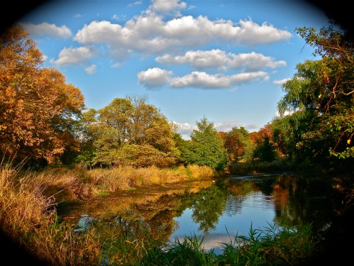 Explore the Best Scenic Drives in Illinois