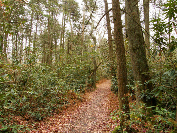 Follow One Of The Most Haunted Trails In Connecticut, If You Dare