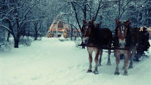 Snowshoeing Trails in NH: Nestlenook Farm