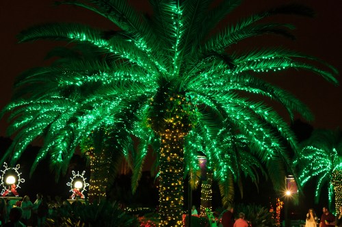 13 Things To Do In Florida In The Winter