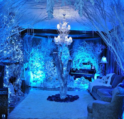 13 Things To Do In Florida In The Winter