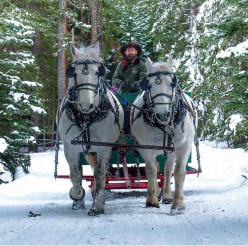 9 Spots In Montana That Look Like The North Pole