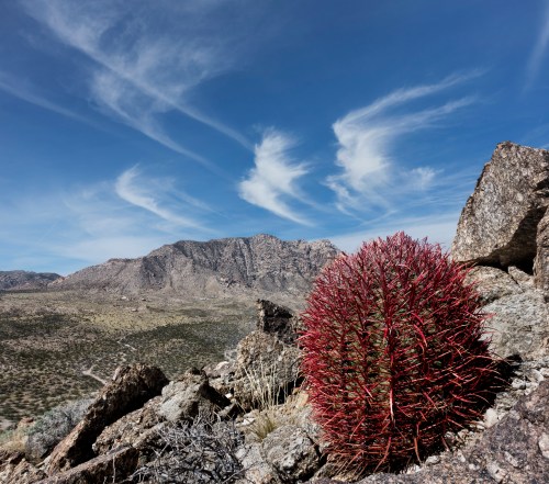 Christmas Tree Pass Is An Unexpected Scenic Drive In Nevada