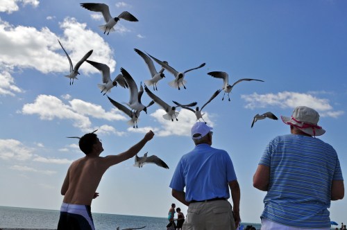 14 Florida stereotypes We Always Have To Explain