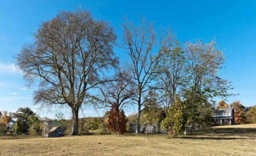 10 Rural Towns Near Nashville That Are Downright Delightful