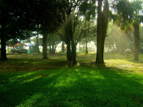 14 Florida stereotypes We Always Have To Explain