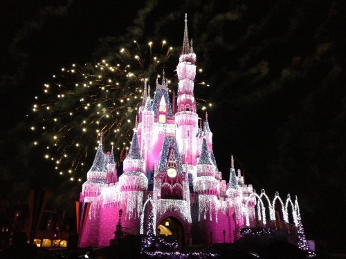 14 Florida stereotypes We Always Have To Explain