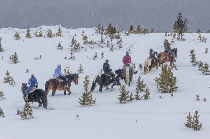 Horseback Riding In Denver In Winter? Visit Granby For Trail Rides