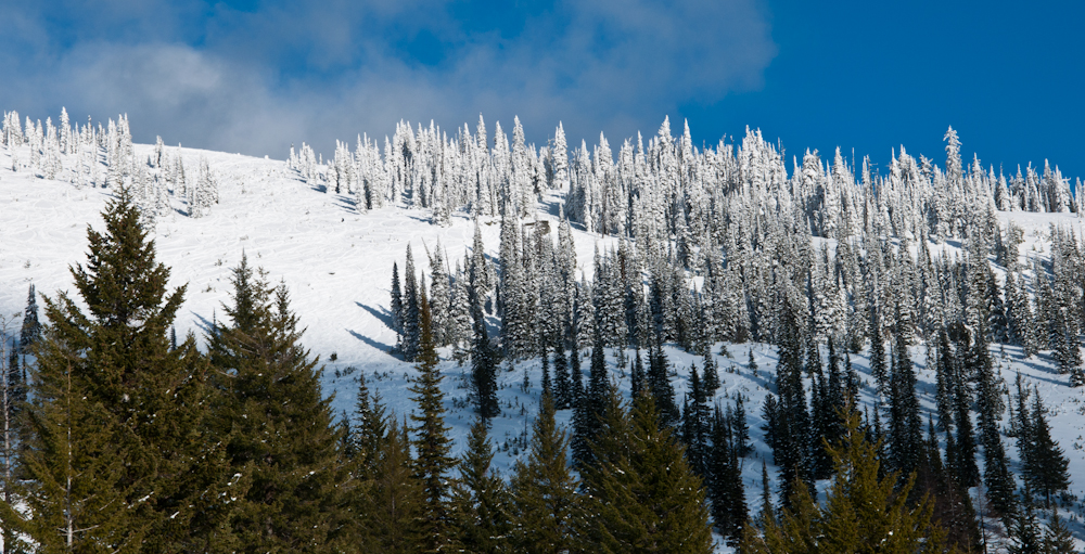 7 Places In Montana Perfect For Winter Horseback Riding