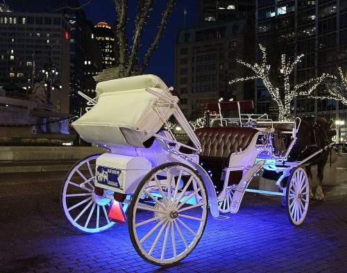 The Best Horse Drawn Carriage Rides in Indiana This Winter