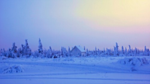 The Ice Fog In Alaska Is A Frustrating Natural Phenomenon