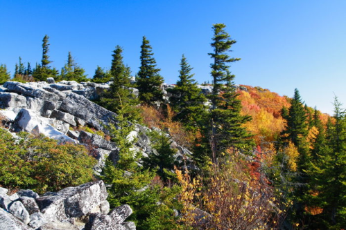 8 Of The Best West Virginia road trips You Can Take
