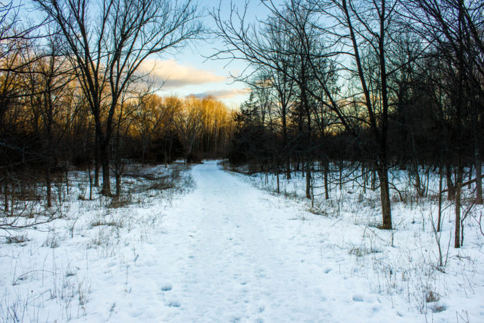 Here Are 15 Of The Best Winter Hikes In Wisconsin