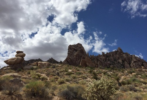 Christmas Tree Pass Is An Unexpected Scenic Drive In Nevada