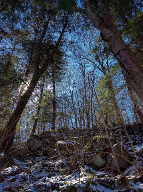Winter is the Best Time To Check Out This Stunning Wisconsin Gorge