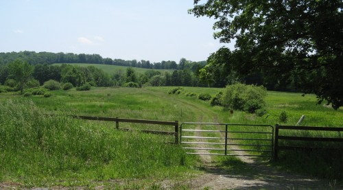 Sharon, Connecticut Is One Of New England's Most Unique Towns