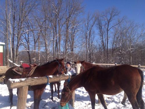 Winter Horseback Riding: Natural Valley Ranch, Brownsburg, IN