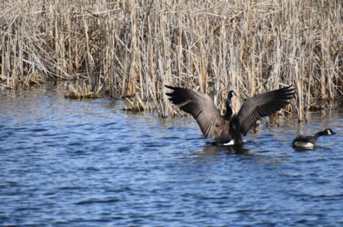 18 Natural Wonders in Wisconsin That Are Especially Breathtaking in Winter