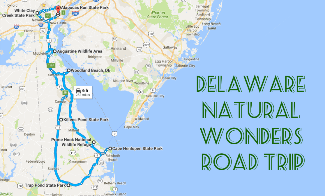 Scenic Road Trip In Delaware Shows You The Best Of Our State