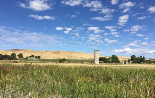 Things To Do In Weiser, Idaho: Best Hidden Town In Gem State