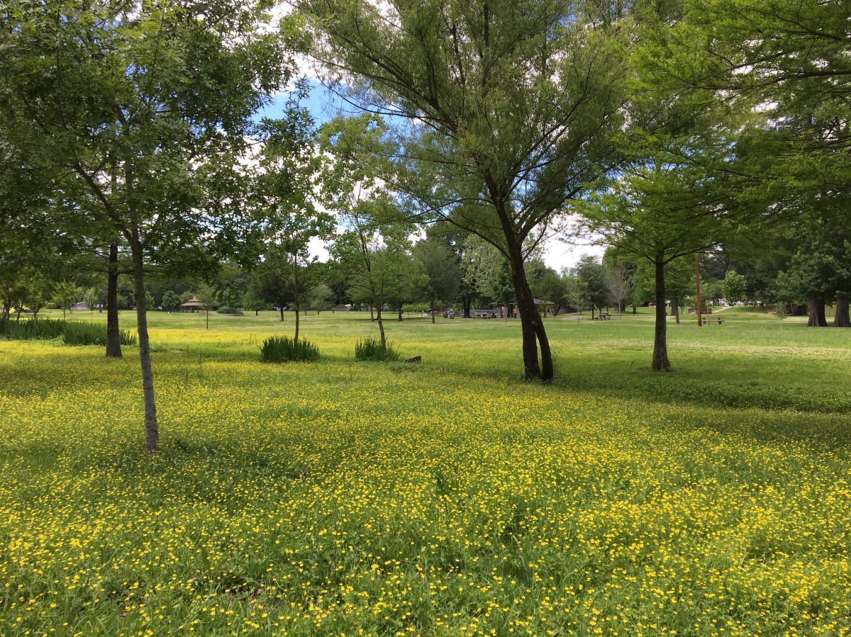 10 Unforgettable Indiana Road Trips to Take ASAP