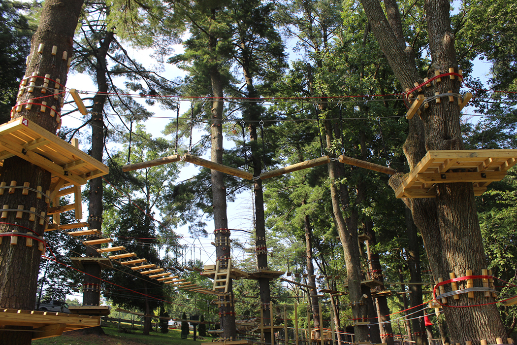 Treetop Adventures Is An Epic Adventure Park In Pennsylvania