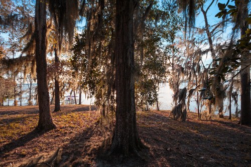 9 Beautiful Lake Towns In Alabama