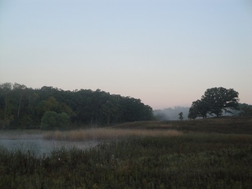 Timber Lake Road Is The Most Haunted Street In Minnesota