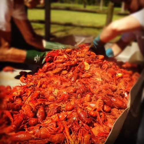 The 12 Best Restaurants To Get Boiled Crawfish In Louisiana