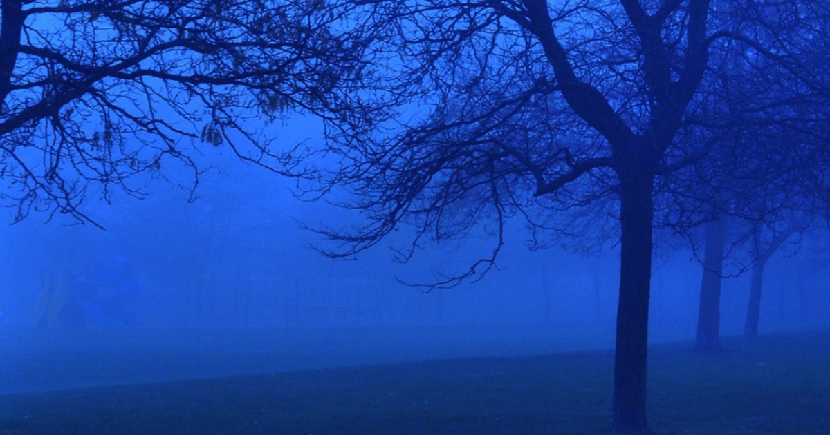 Blue Mist Road Is The Most Haunted Road In Pittsburgh