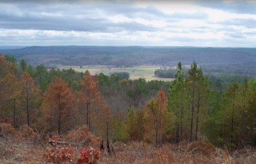 Fun Things To Do In Delta, Alabama