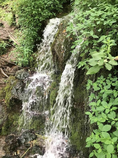 Best Waterfalls In Iowa: A Waterfall Weekend Road Trip