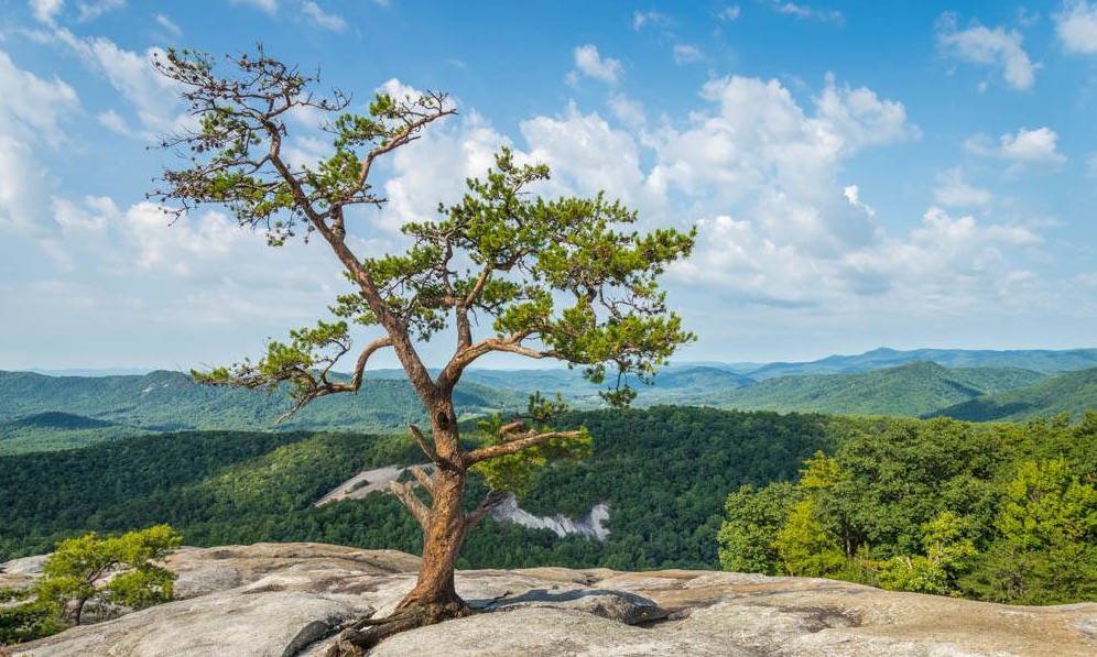 12 Under-Appreciated State Parks In North Carolina You’re Sure To Love