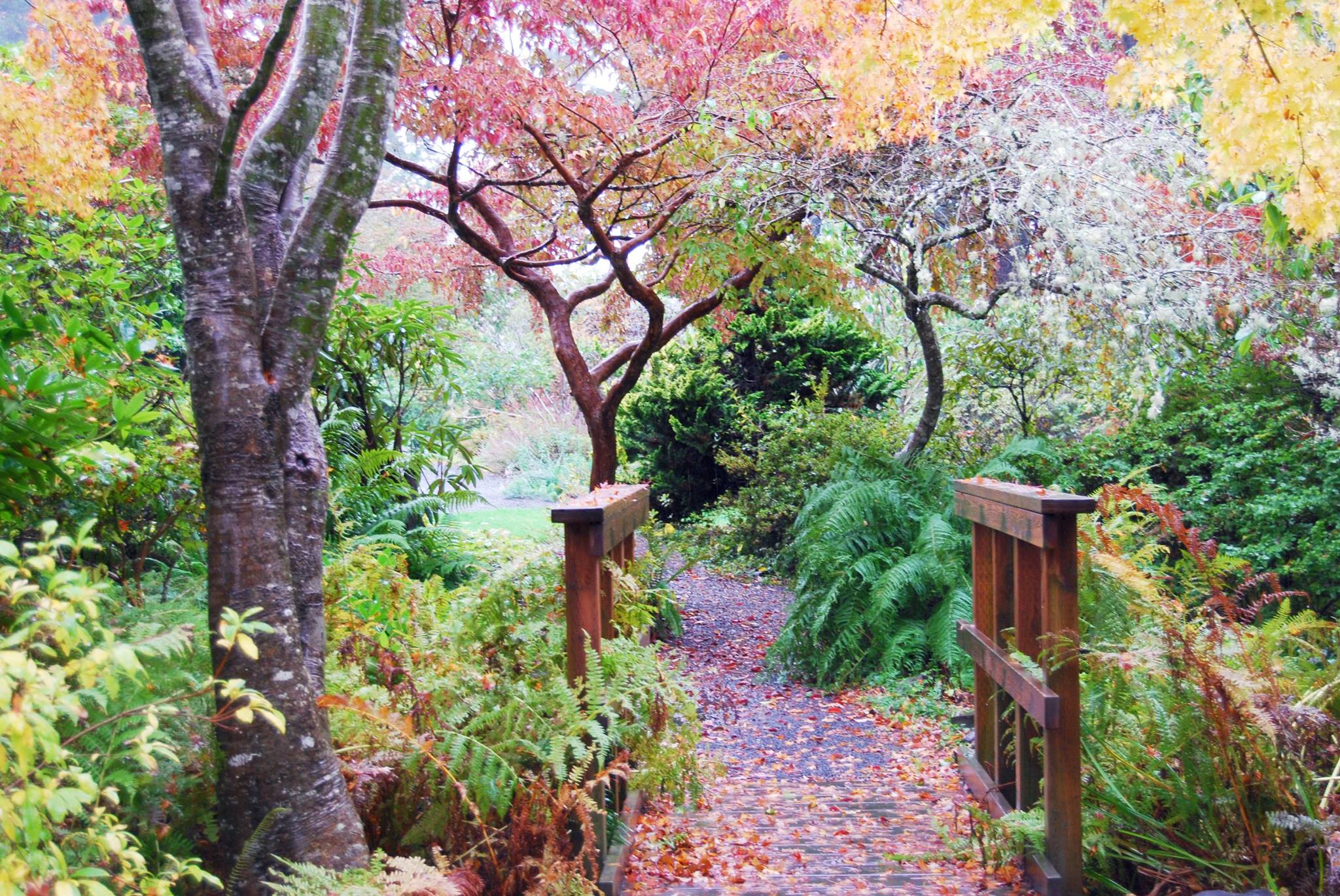 Beautiful Secret Gardens A SECRET GARDEN NO 2