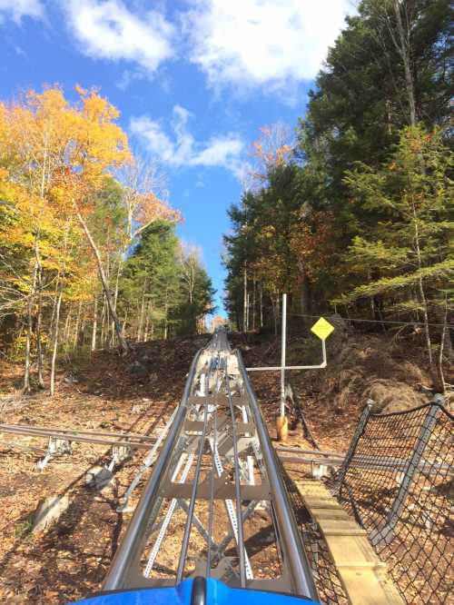 Thunderbolt Mountain Coaster: Massachusetts Mountain Coaster