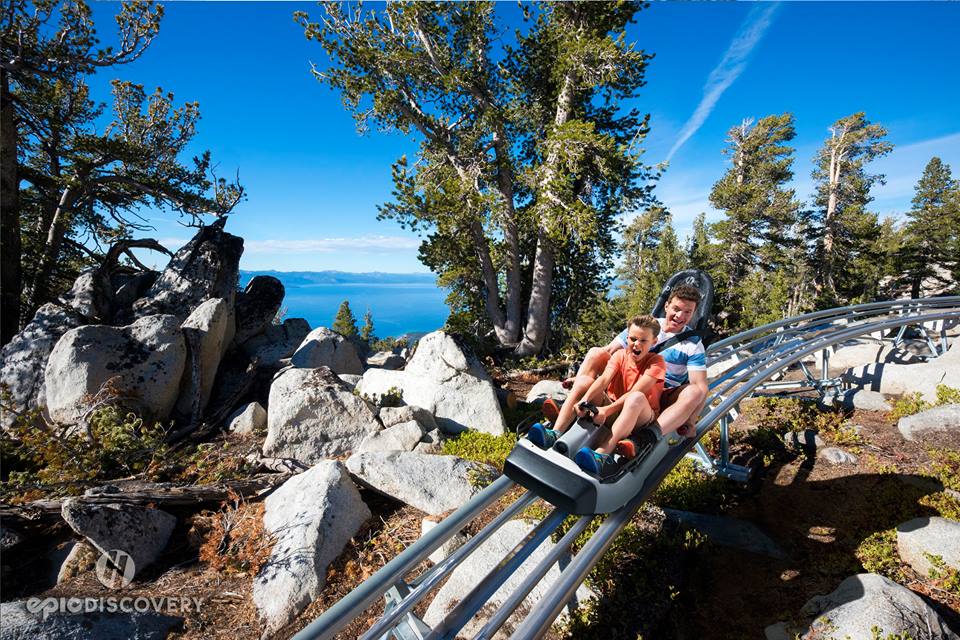 The Mountain Coaster In Northern California Is The Ultimate Adventure