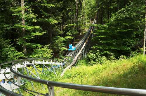 Thunderbolt Mountain Coaster: Massachusetts Mountain Coaster