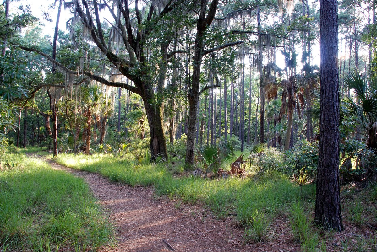 Explore These 8 Hiking Trails With Ancient Ruins In Georgia