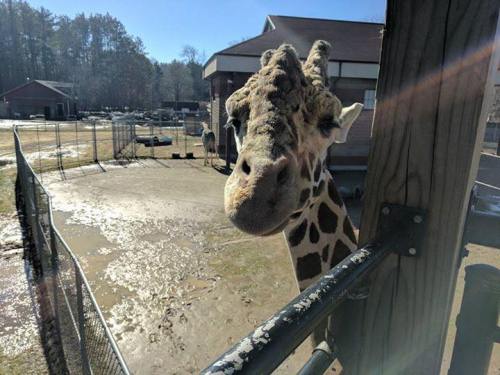 The NEW Zoo In Wisconsin Is A One-Of-A-Kind Adventure