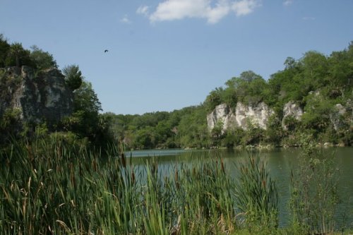 Go Ziplining In Ocala, Florida At The Canyons