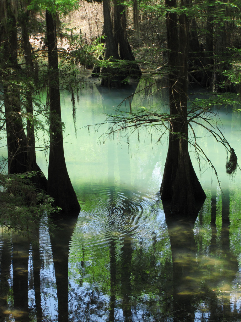 Natural Ponds In Georgia