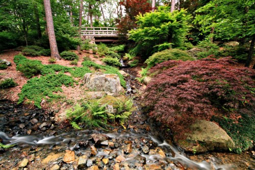 11 Of The Best Things To Do In Arkansas In Spring