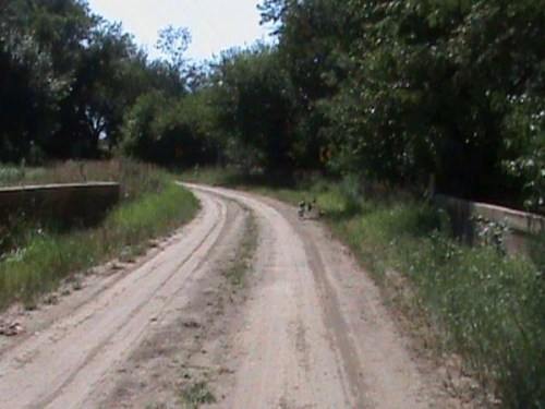 Smitty's Curve In Geneva Is The Most Haunted Road In Nebraska