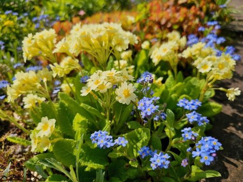 Hollister House Garden: A Lush, 18th Century Oasis In Connecticut