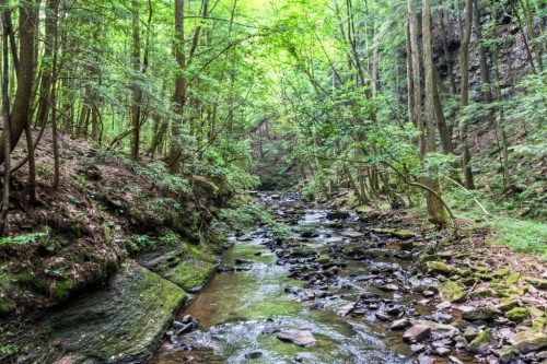 Blue Hole Falls In Tennessee Is A Beautiful Swimming Hole