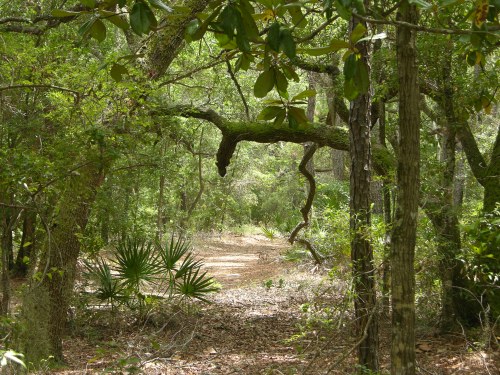 Bon Secour National Wildlife Refuge in Alabama Is So Beautiful