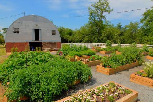 The Day Trip Of A Lifetime You Can Only Take In Georgia