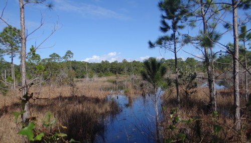 Bon Secour National Wildlife Refuge in Alabama Is So Beautiful