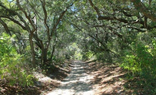 Bon Secour National Wildlife Refuge in Alabama Is So Beautiful