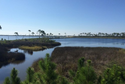 Bon Secour National Wildlife Refuge in Alabama Is So Beautiful